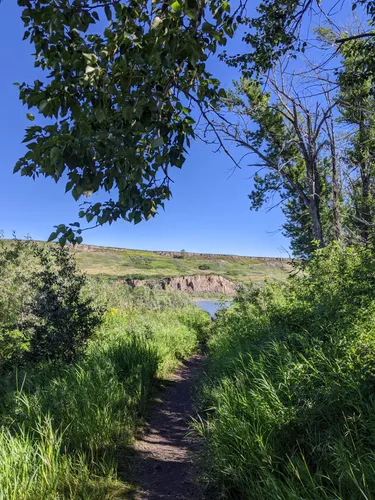 Best Hikes and Trails in Carseland | AllTrails