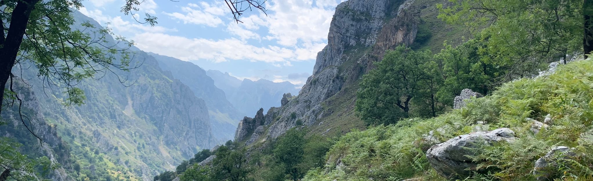 AllTrails | Antiguo Sendero a Tielve: 7 Reviews, Map - Asturias, Spain