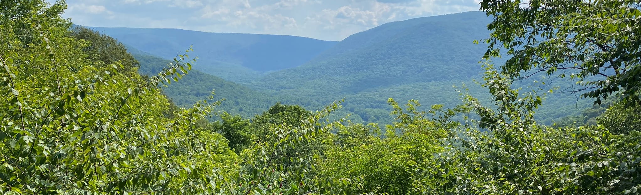 Baughman Rock Overlook via Ohiopyle: 164 Reviews, Map - Pennsylvania ...