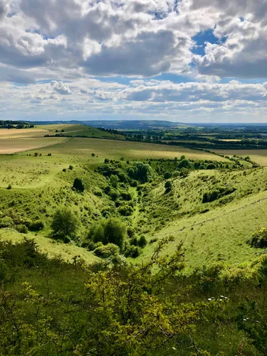 10 Best Long Trails in Chiltern Hills National Landscape (AONB) | AllTrails