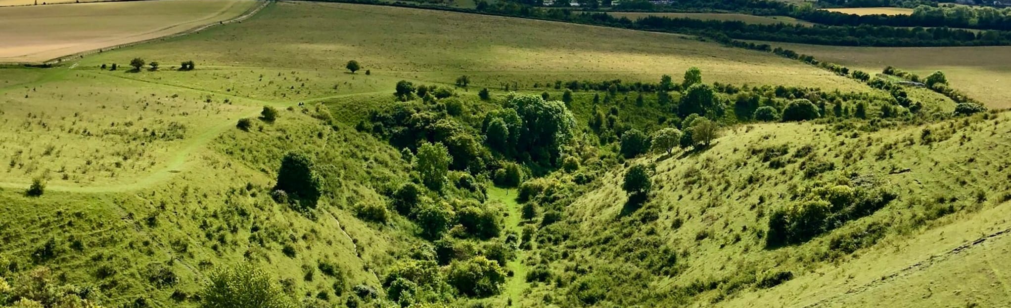 Tring, Ivinghoe Beacon and Ringshall Circular, Hertfordshire, England ...