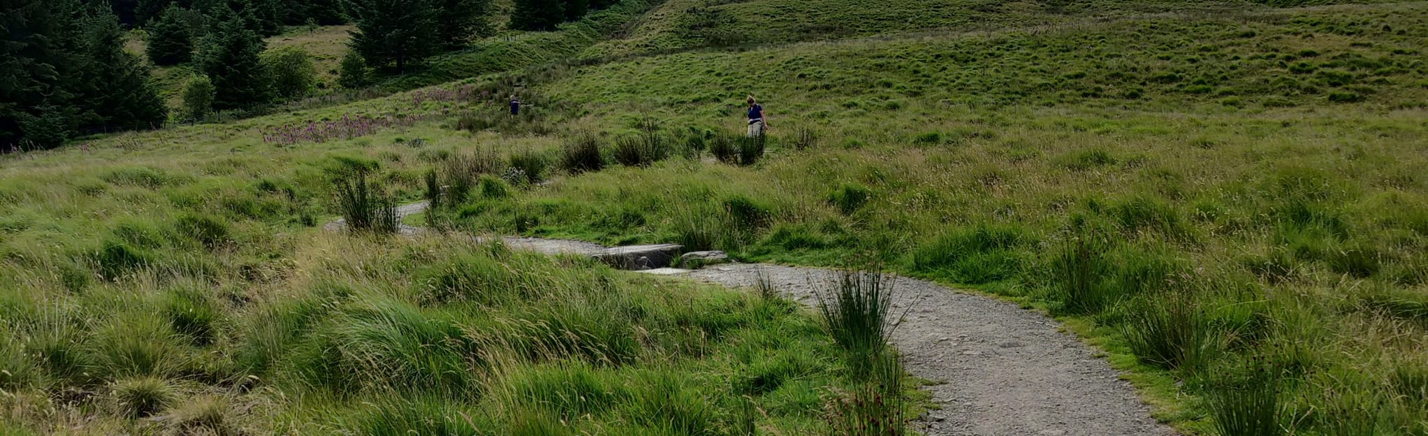 Fan y Big, Cribyn, Pen y Fan, Corn Du, and Y Gyrn Circular, Merthyr ...