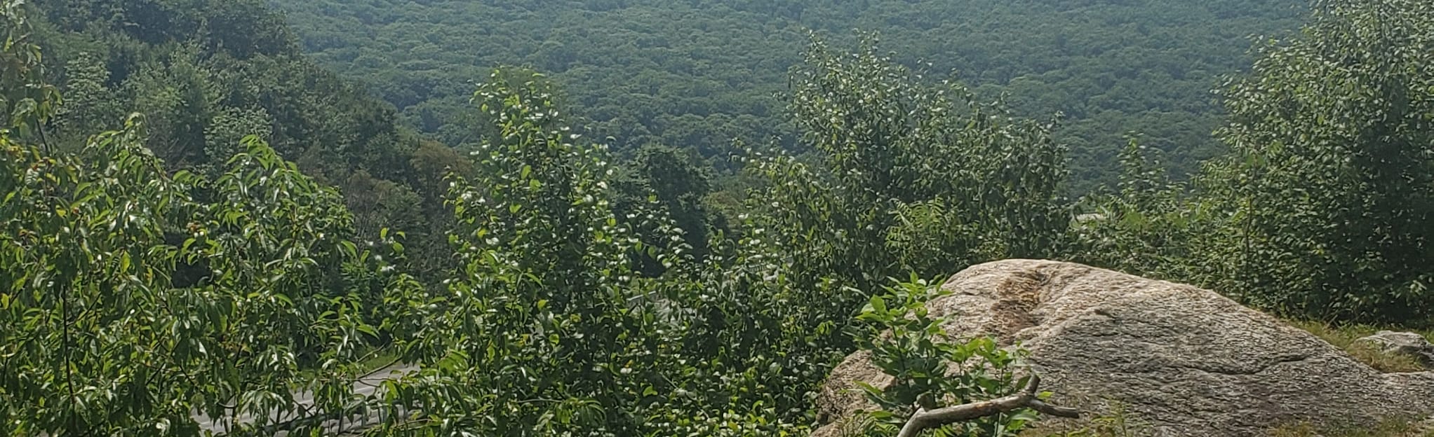 Sugar Notch Ridgetop Trail, Pennsylvania - 83 Reviews, Map | AllTrails