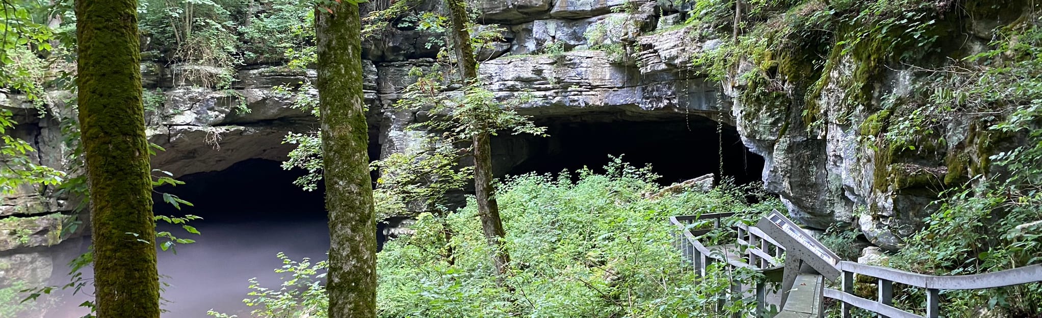 Cave Boardwalk Trail - Alabama | AllTrails