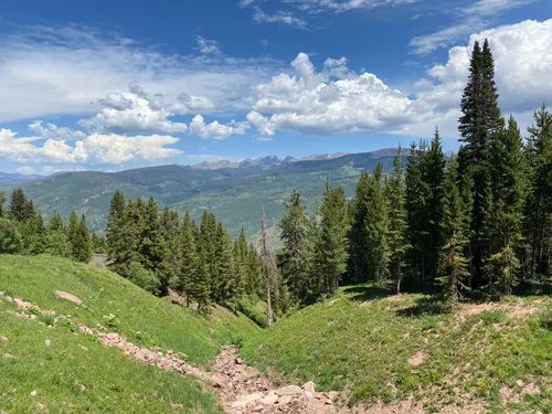 10 Best Trails and Hikes in Vail | AllTrails