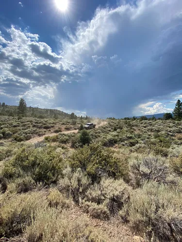 Best Bike Touring Trails in Humboldt-Toiyabe National Forest | AllTrails