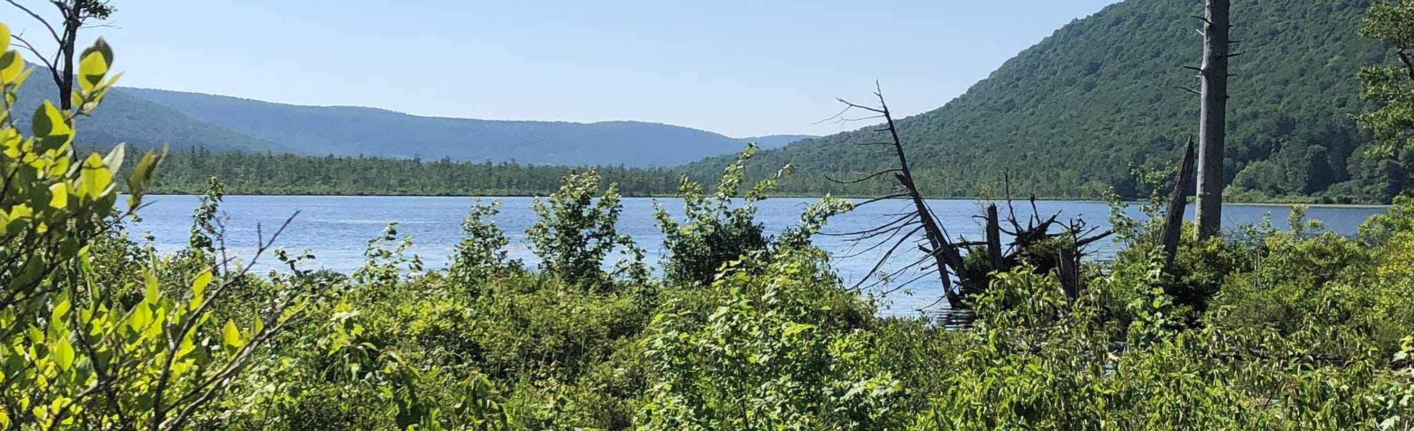 Labrador Pond Boardwalk Loop - New York | AllTrails