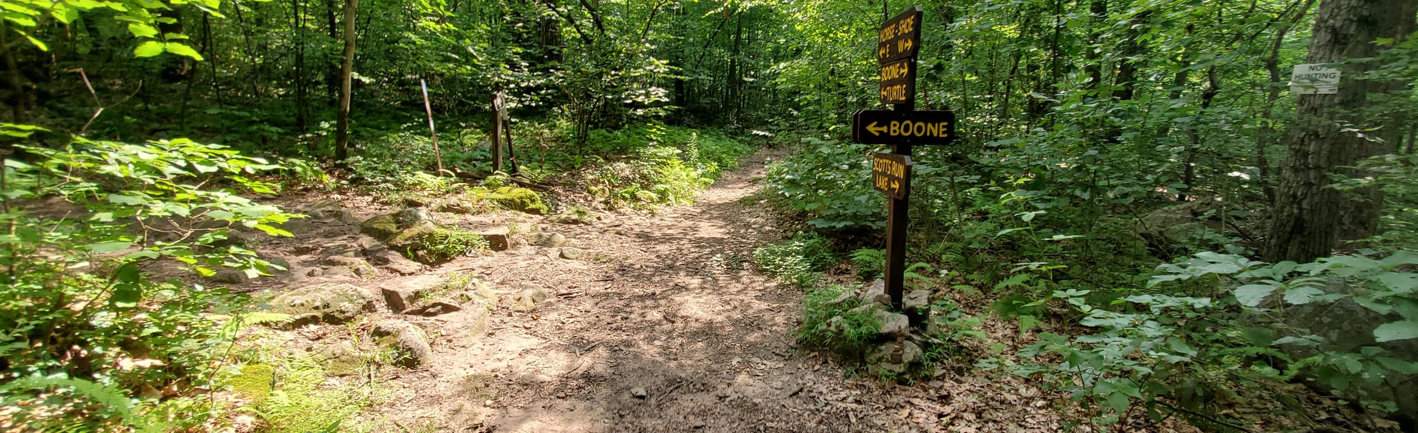 Turtle Trail Loop, Pennsylvania - 298 Reviews, Map | AllTrails