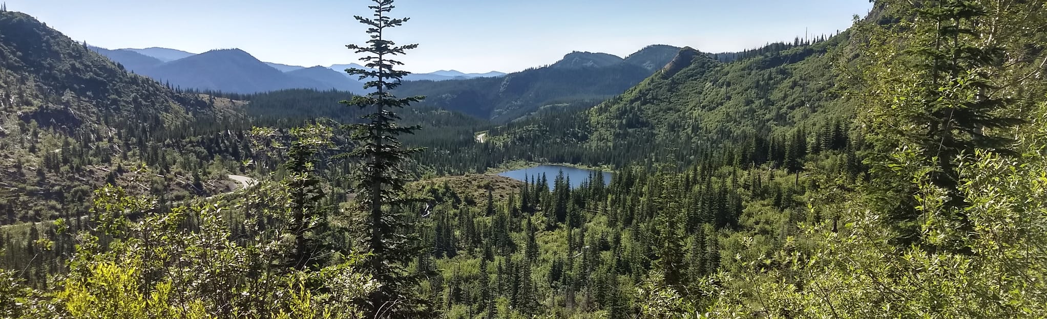AllTrails | Mount Whittier: 65 Reviews, Map - Washington