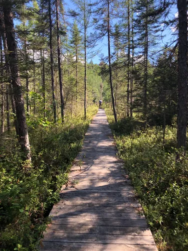 Best 10 Hikes and Trails in Ottawa National Forest | AllTrails