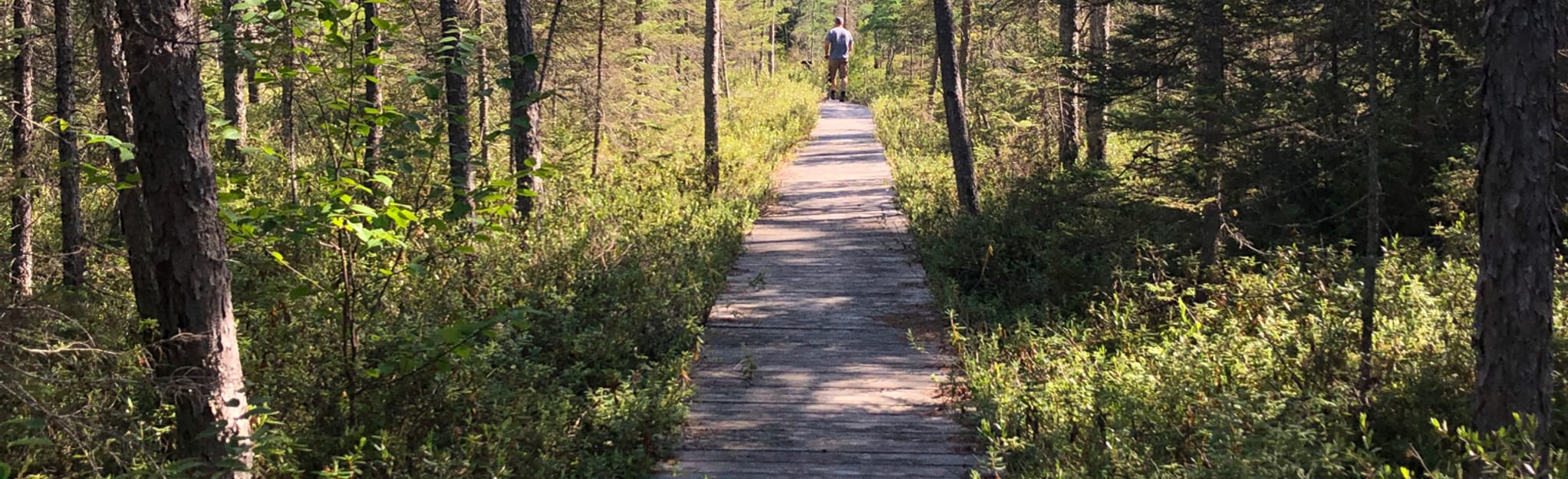 Imp Lake Trail, Michigan - 22 Reviews, Map | AllTrails