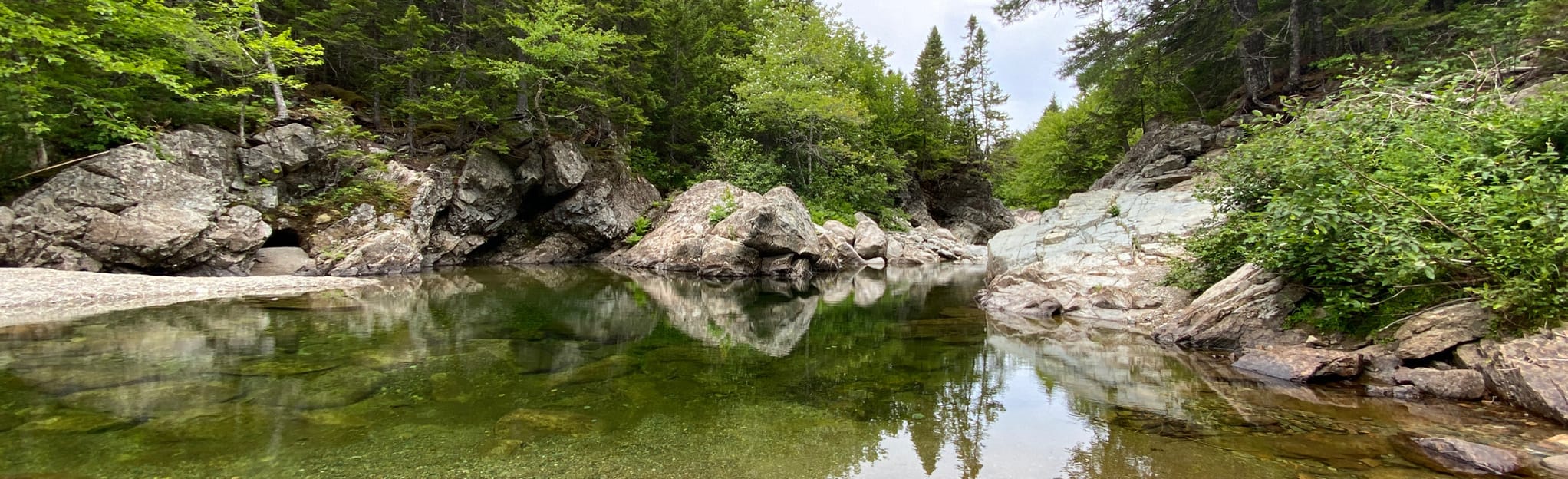 The Forks Trail, New Brunswick, Canada - 33 Reviews, Map | AllTrails