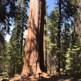 Guardians Loop Trail, California - 31 Reviews, Map | AllTrails