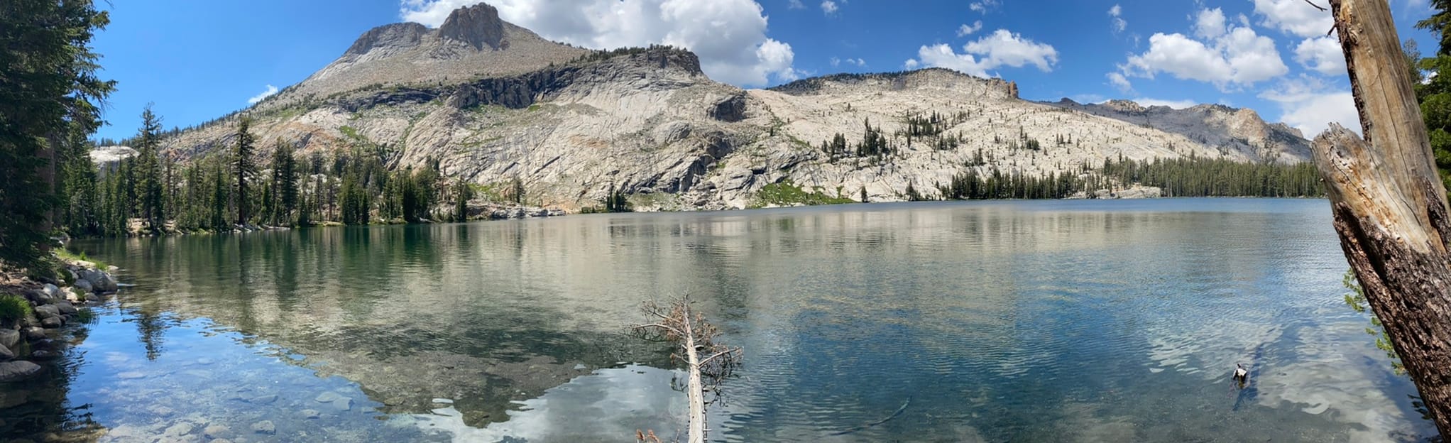 May Lake: 663 Reviews, Map - California | AllTrails