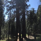 Guardians Loop Trail, California - 31 Reviews, Map | AllTrails