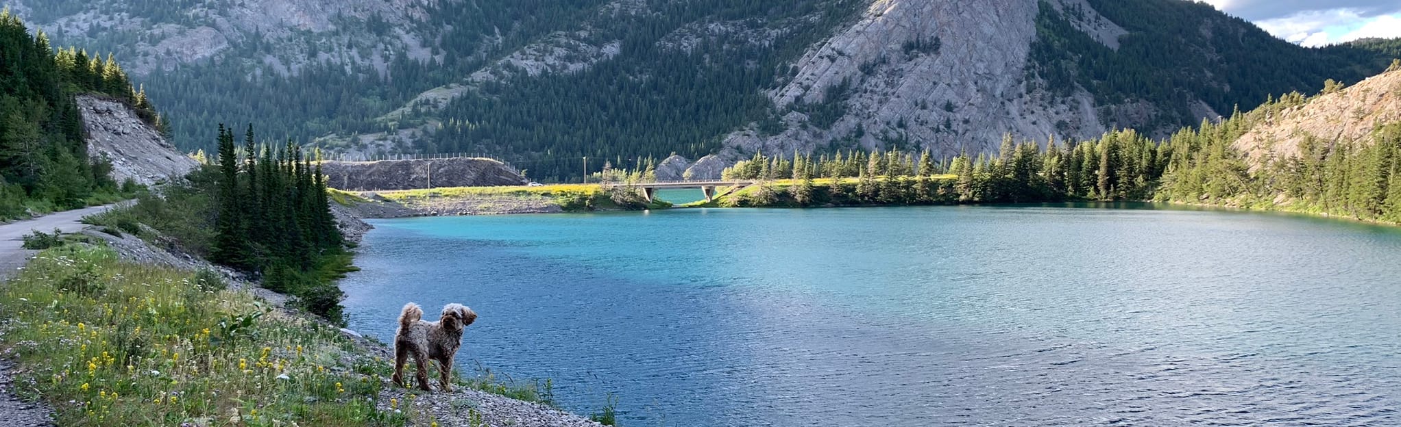 Emerald Lake Loop: 74 Reviews, Map - Alberta, Canada | AllTrails