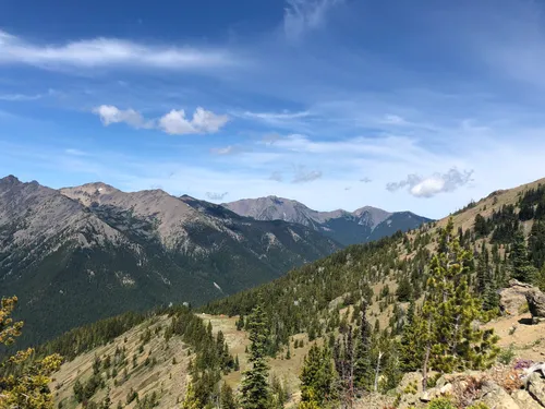 10 Best Trails and Hikes in Sequim | AllTrails