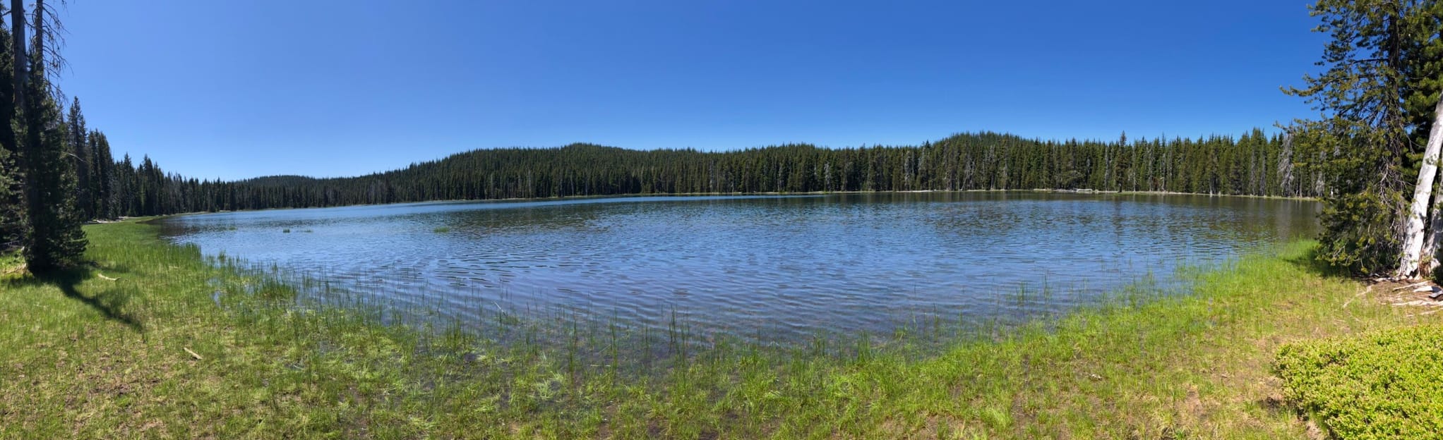 Senoj Lake Trail, Oregon - 122 Reviews, Map | AllTrails