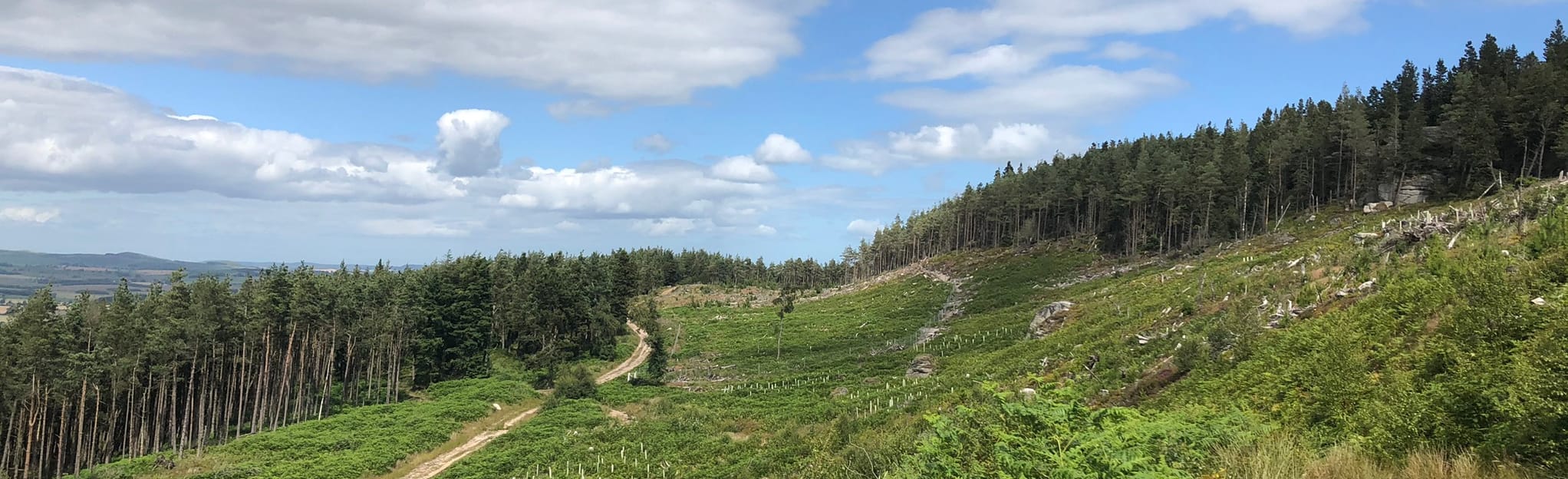 Simonside and Dove Crag Circular: 361 Reviews, Map - Northumberland ...