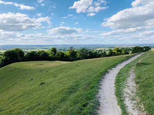 10 Best Hikes and Trails in Chiltern Hills Area of Outstanding Natural ...