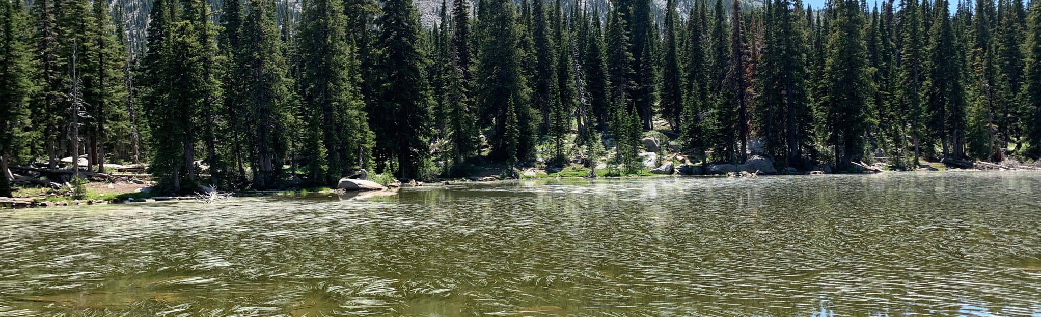 Independence Lakes Trail | Mapa, Roteiro - Idaho | AllTrails