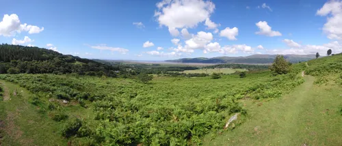 10 Best Trails and Hikes in Machynlleth | AllTrails