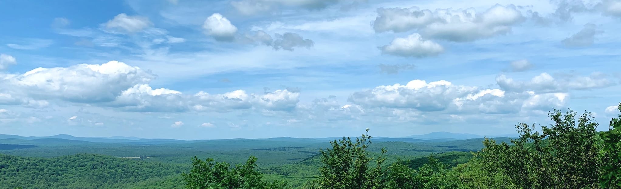 Abbott Mountain Trail, Maine - 290 Reviews, Map | AllTrails