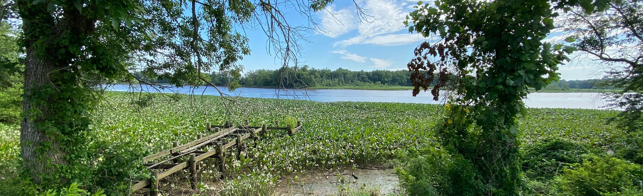 Laurel Run Loop, New Jersey - 66 Reviews, Map | AllTrails