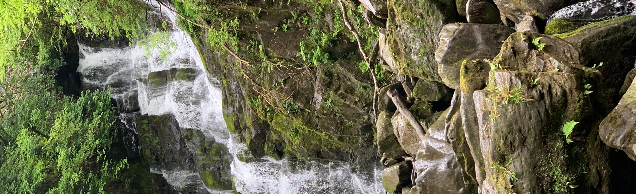 The Kerry Way: Complete Loop (Official): 29 Reviews, Map - County Kerry ...