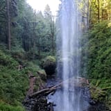Shellburg Falls Trail, Oregon - 855 Reviews, Map | AllTrails