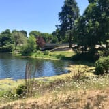 Waverly Lake Loop, Oregon - 86 Reviews, Map | AllTrails
