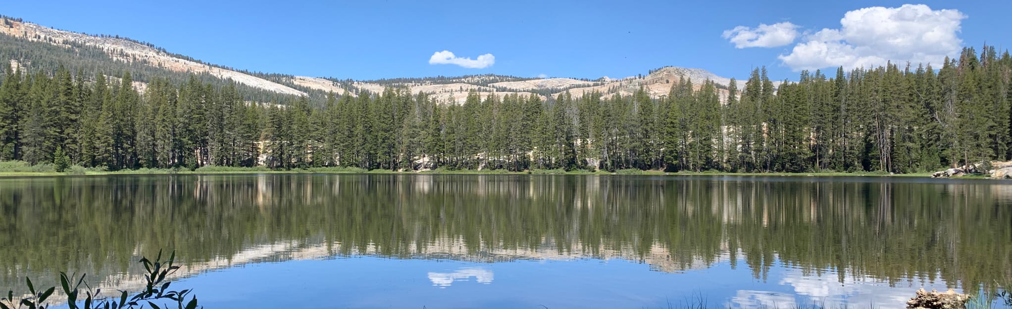 Isberg Trail and Joe Crane Loop, California - 11 Reviews, Map | AllTrails