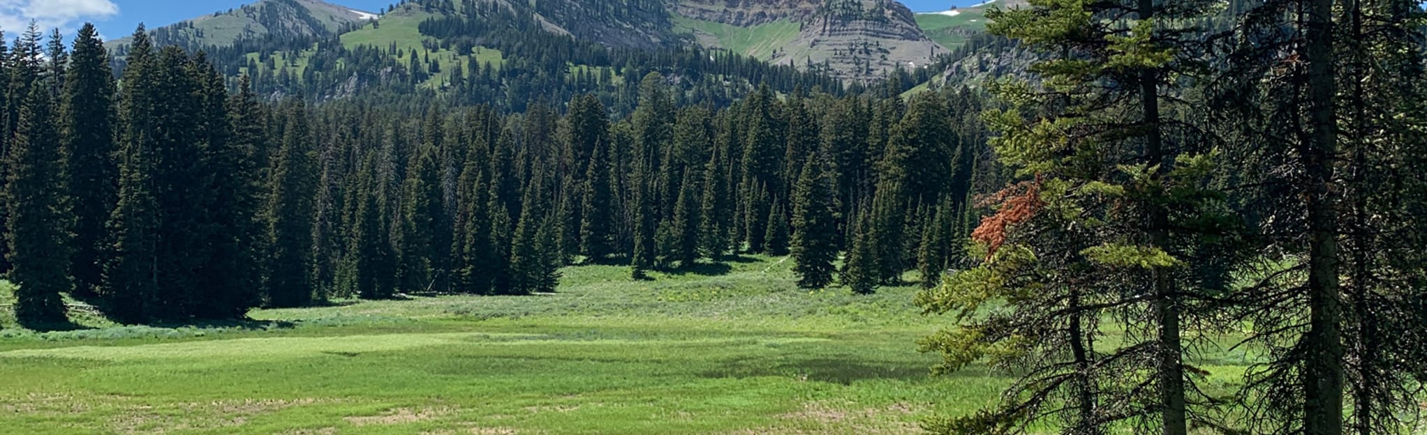 Arrow Trail, Wyoming - 69 Reviews, Map | AllTrails