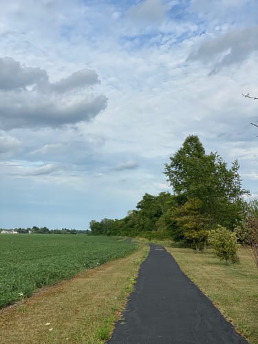 Best Hikes and Trails in Smiley Park | AllTrails