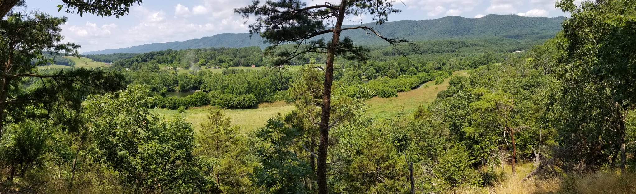 Big Oak Trail and Red Tail Ridge Trail Loop, Virginia - 145 Reviews ...