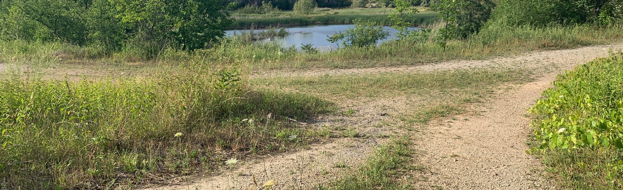 Bruce Trail: Waterdown To Dundas, Ontario, Canada - 96 Reviews, Map ...