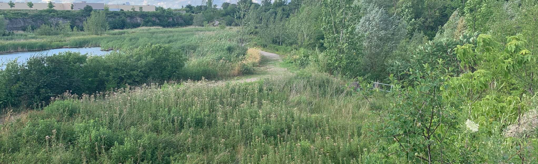 Lower Rockcliffe Loop: 46 Reviews, Map - Ontario, Canada | AllTrails