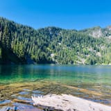 Hester Lake Trail, Washington - 75 Reviews, Map | AllTrails