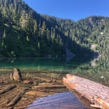 Hester Lake Trail, Washington - 63 Reviews, Map | AllTrails