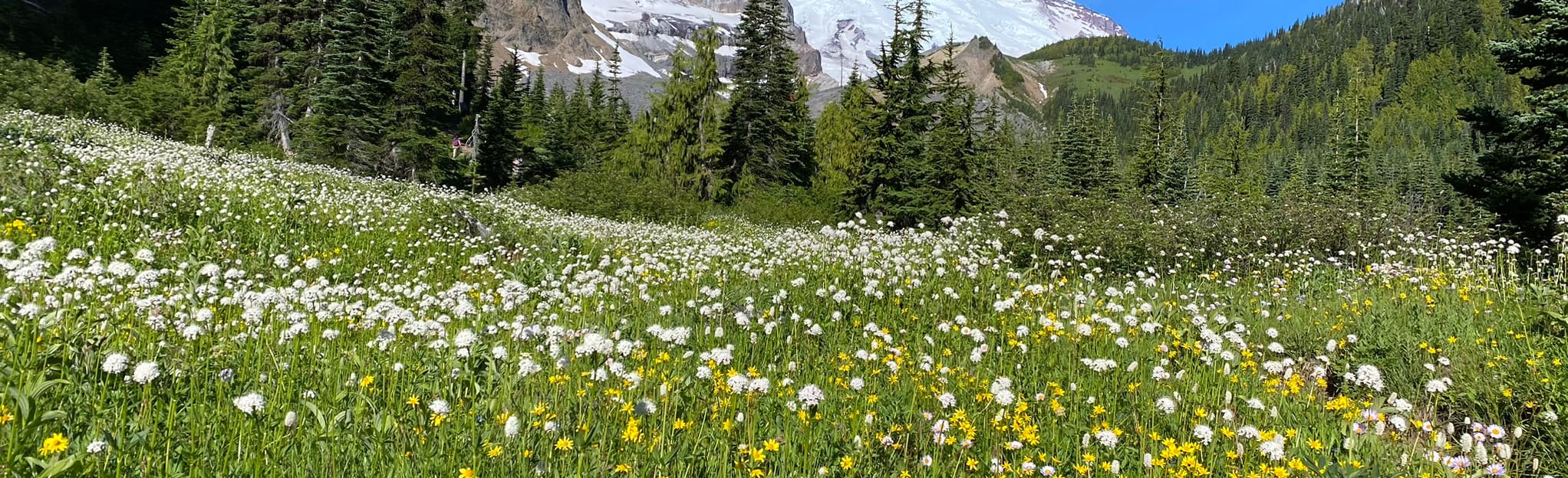 Goat Island Mountain Trail - Washington | AllTrails