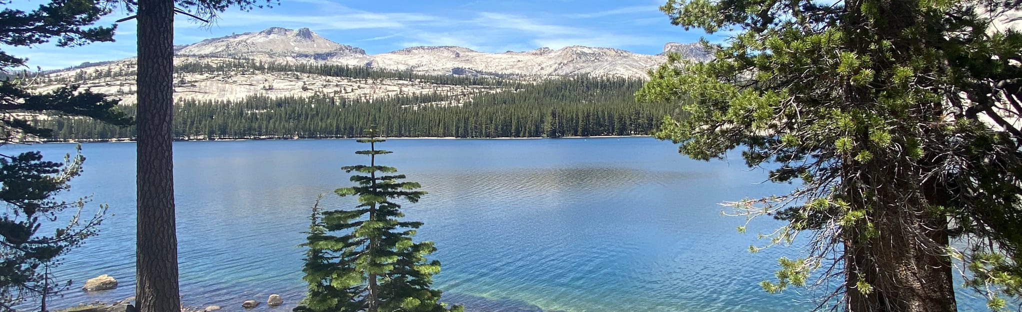 Tenaya Lake Trail | Mappa, Guida - California | AllTrails