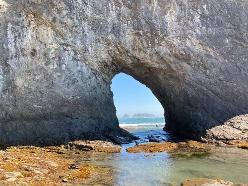 Best Hikes and Trails in La Push | AllTrails