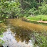 Silver Valley Loop Trail, Michigan - 84 Reviews, Map | AllTrails