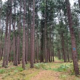 Silver Valley Loop Trail, Michigan - 84 Reviews, Map | AllTrails