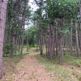 Silver Valley Loop Trail, Michigan - 84 Reviews, Map | AllTrails