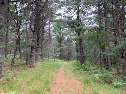 10 Best Hikes and Trails in Huron National Forest | AllTrails