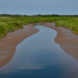 Saltfleetby-Theddlethorpe Dunes Nature Reserve, Lincolnshire, England ...