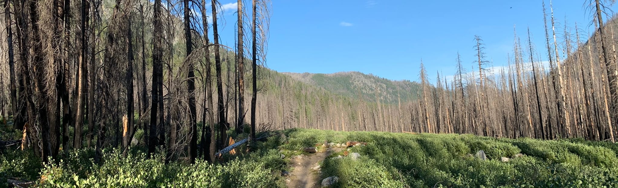 Myrtle Lake via Entiat River and Cow Creek Trail: 47 Reviews, Map ...