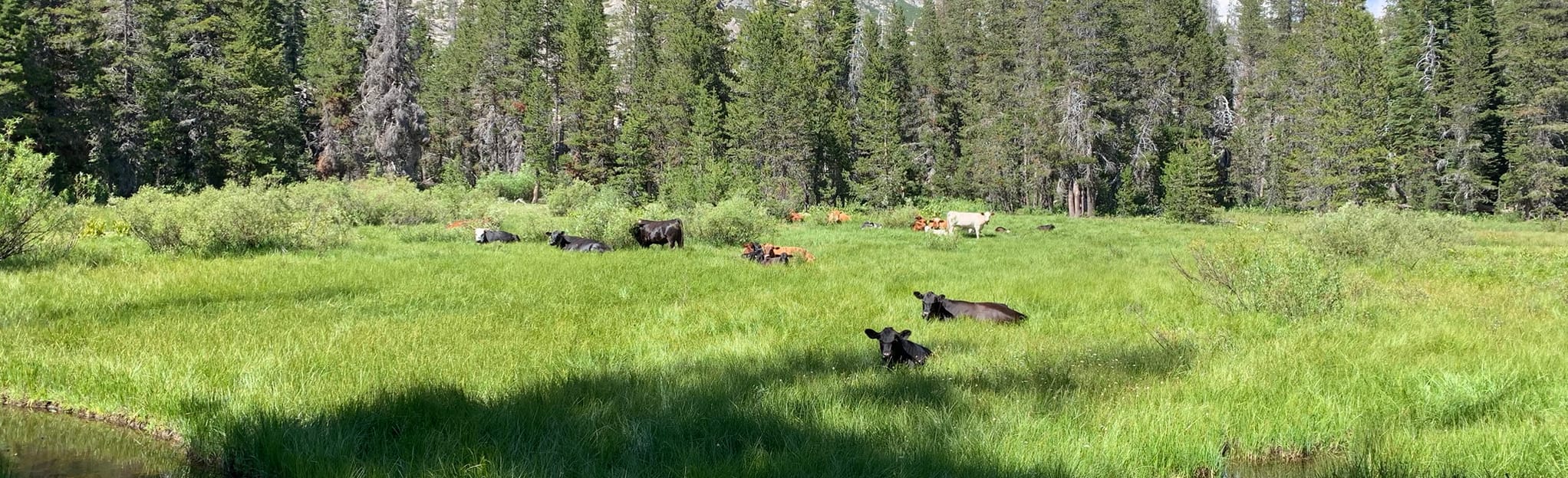 Beyers Lakes via Fordyce Jeep, Grouse Ridge, and Beyers Lake Trail ...