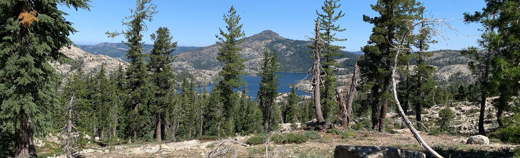 Baltimore Lake: 10 Reviews, Map - California | AllTrails